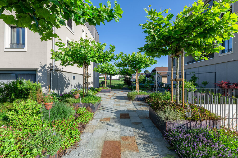 Stefan Marti Garten AG : Gartengestaltung & Gartenpflege aus einer Hand